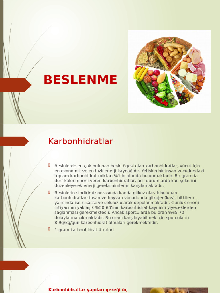 Beslenme | PDF