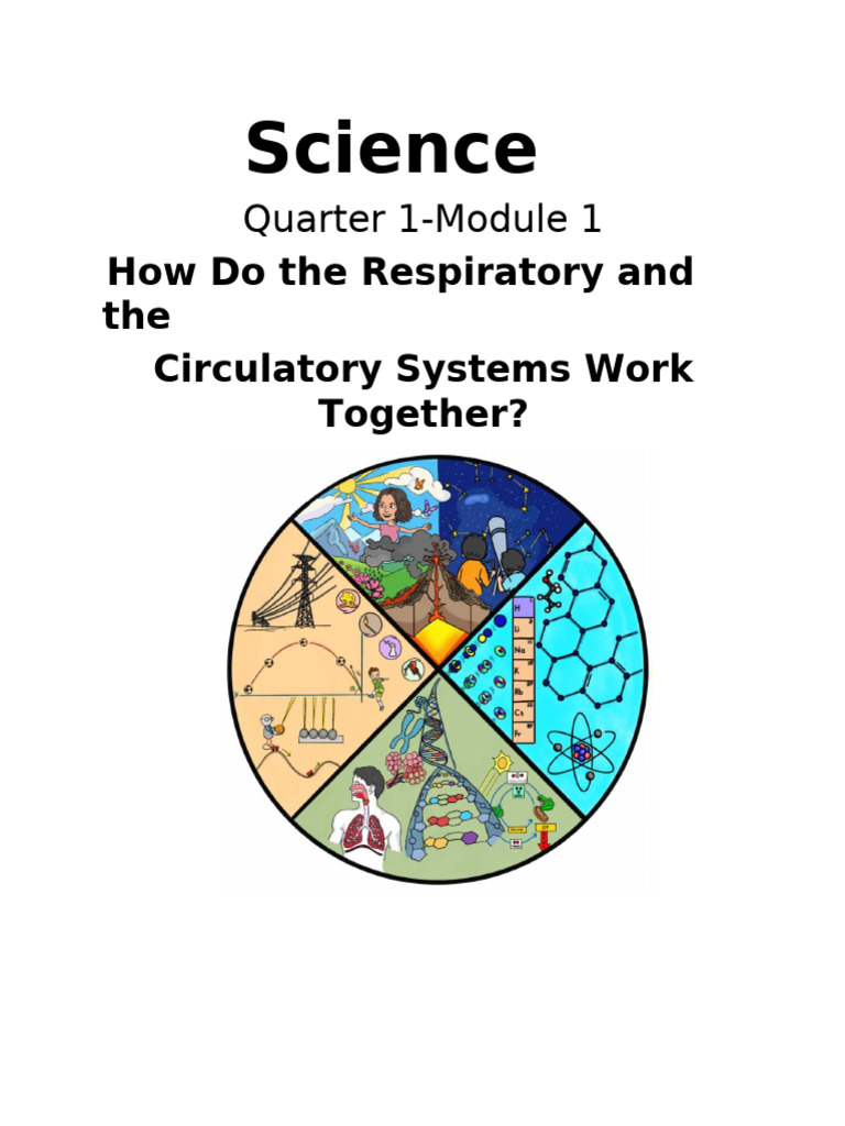 Respiratory and Circulatory Systems Explained | PDF | Respiratory Tract ...