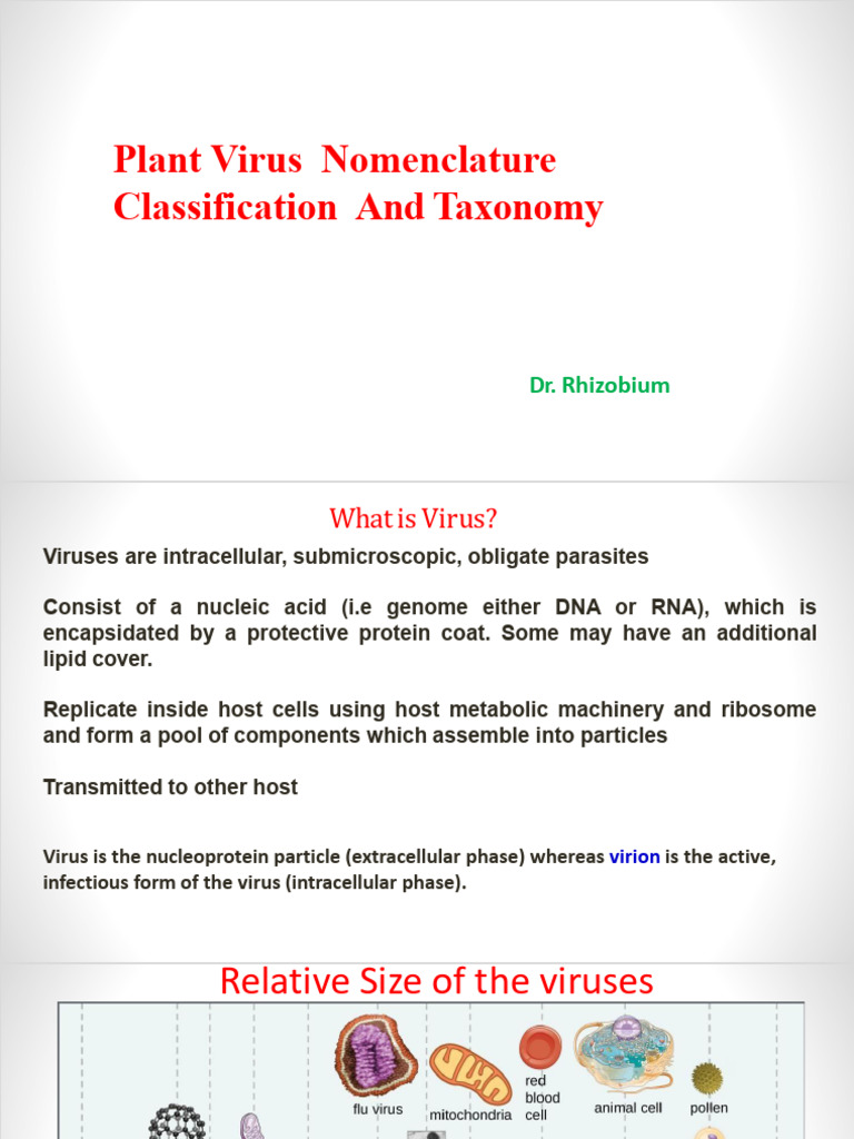 Plant Virus Taxonomy Classification and Nomenclature | PDF | Virus | Plant Virus