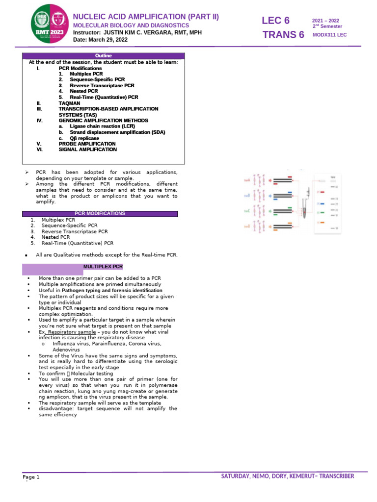 Modx311 Lec PMF 1 | PDF | Complementary Dna | Polymerase Chain Reaction