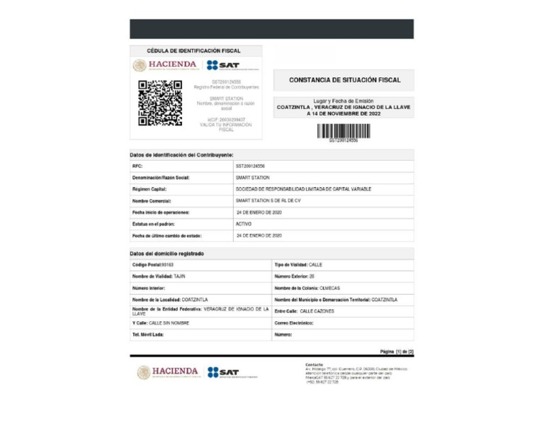 constancia de rfc | PDF