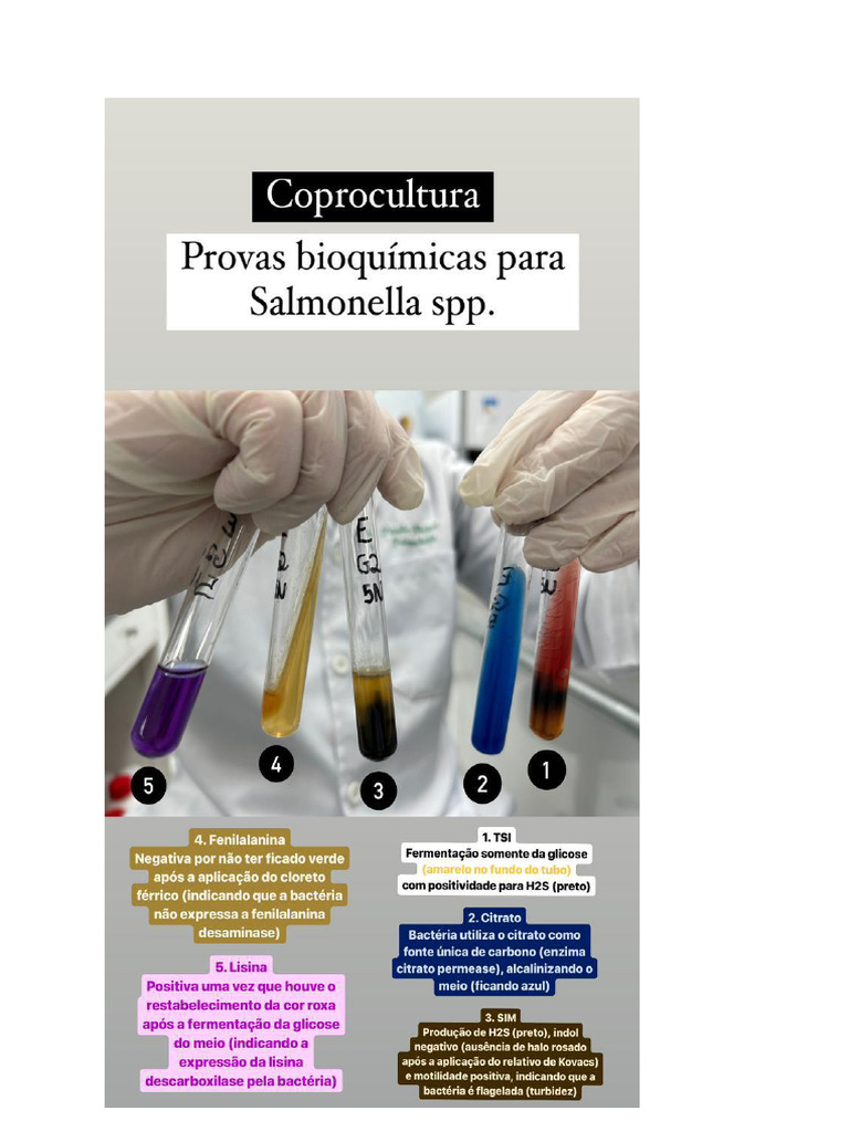 Provas Bioquímicas BGN off | PDF