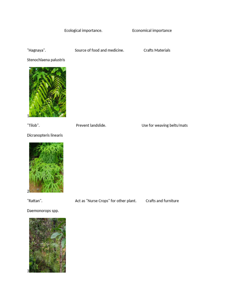 Scientific Name of Plants | PDF