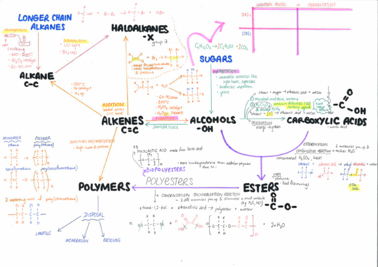 iGCSE Organics Mindmap | PDF