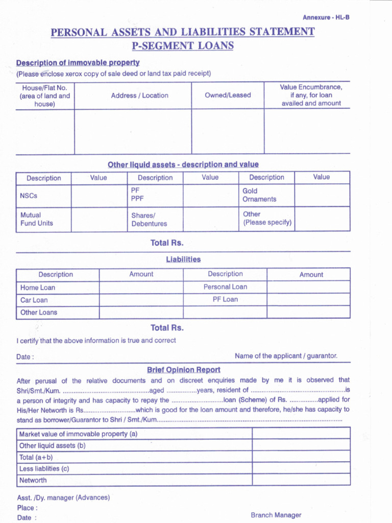 Format Assets and Liabilities | PDF