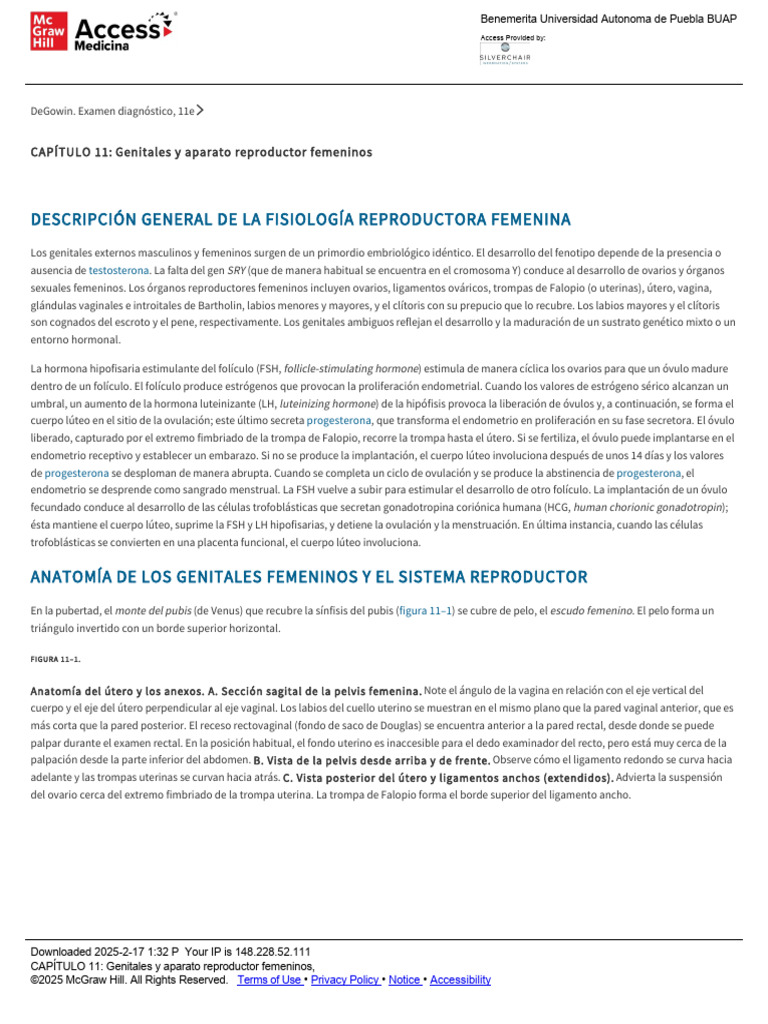 CAPÍTULO 11 - Genitales y Aparato Reproductor Femeninos | PDF | Vagina ...