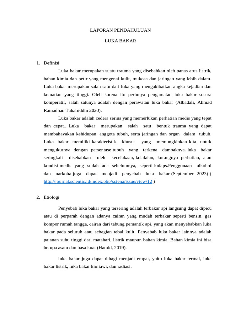 LP. luka bakar_integument | PDF