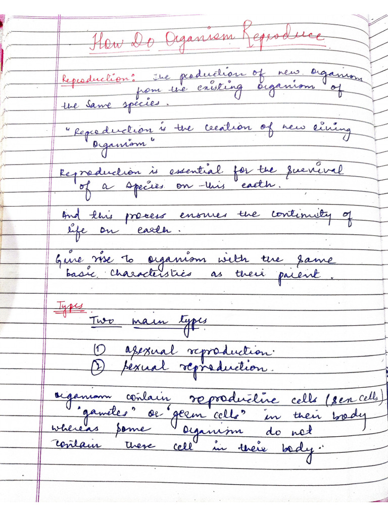 Asexual Reproduction. Class 10 Th | PDF