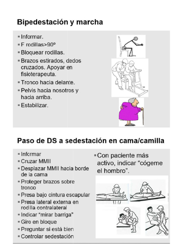Transferencias Paciente - 1 | PDF