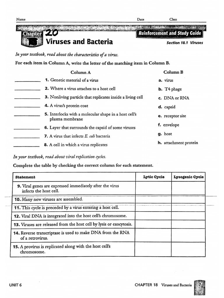 Scanned Document Overview | PDF