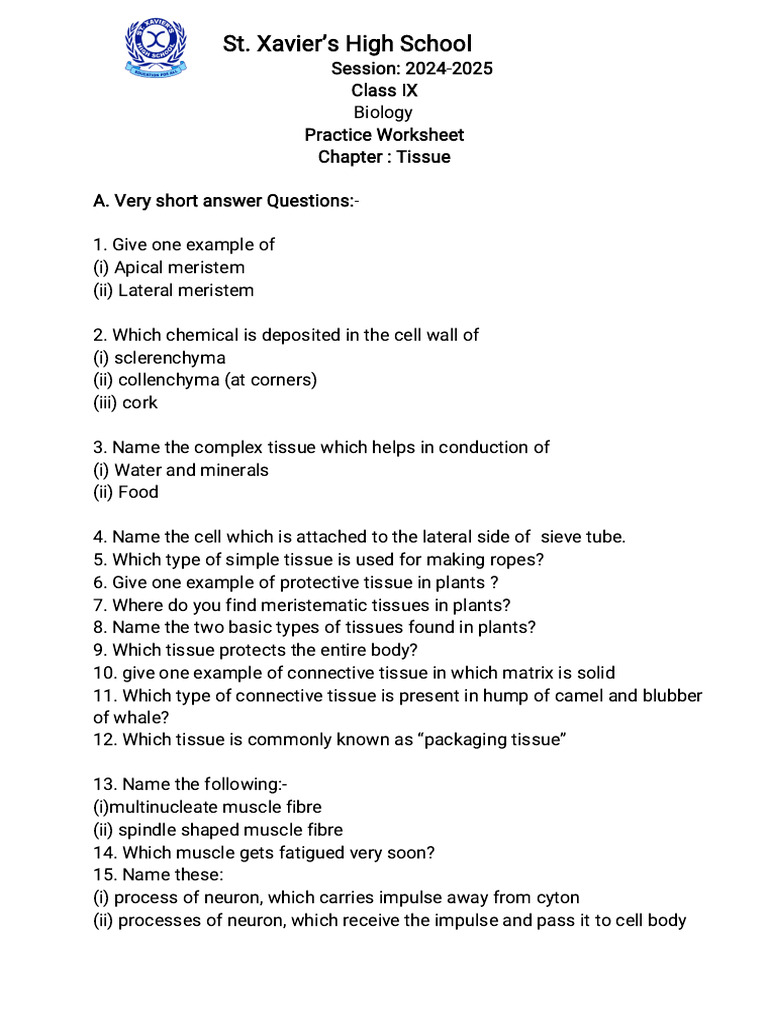 Class IX Biology: Tissue Worksheet | PDF