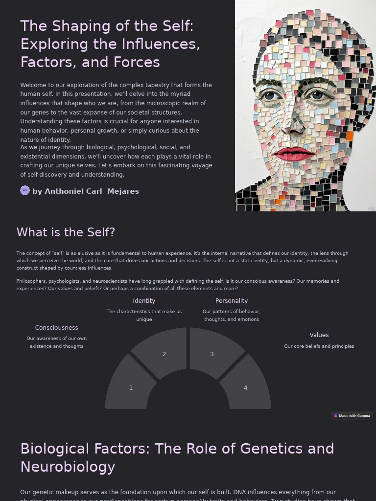 Influences Shaping Human Identity | PDF | Identity (Social Science ...