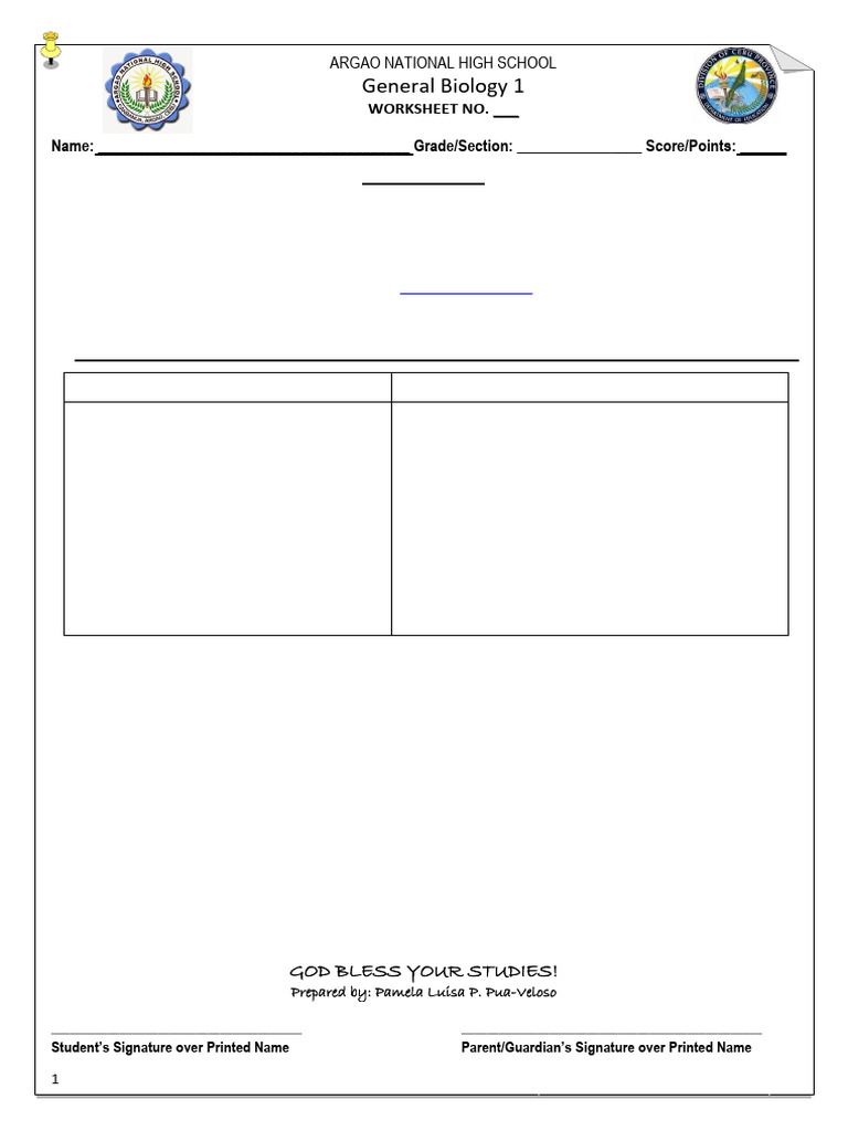Normal vs. HeLa Cell Worksheet | PDF
