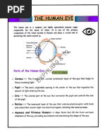 Class10 Human Eye Notes | PDF | Eye | Human Eye