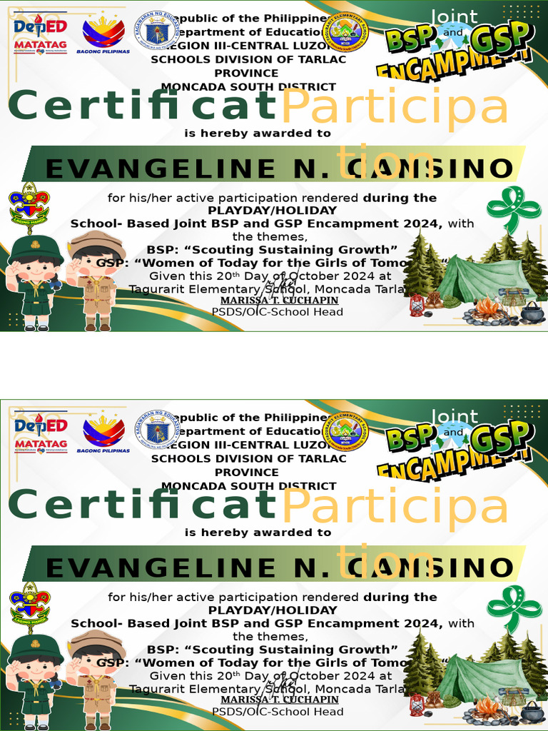 Certificate of Participation for BSP GSP 2024 | PDF