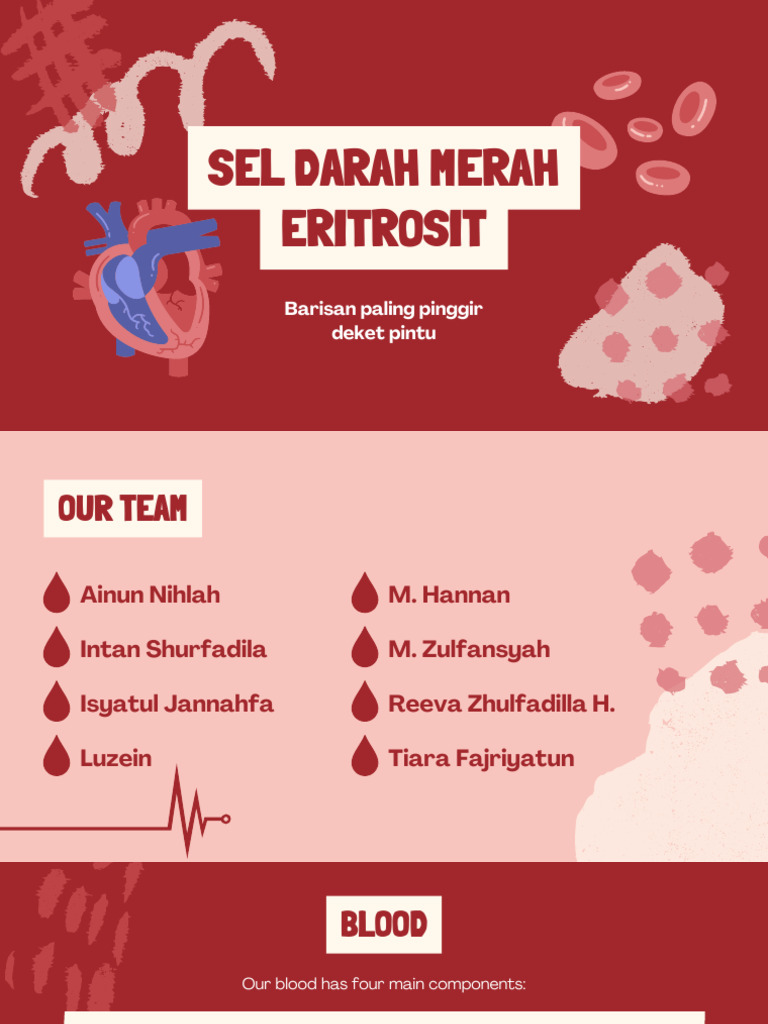 SEL DARAH MERAH_20241023_094548_0000 | PDF