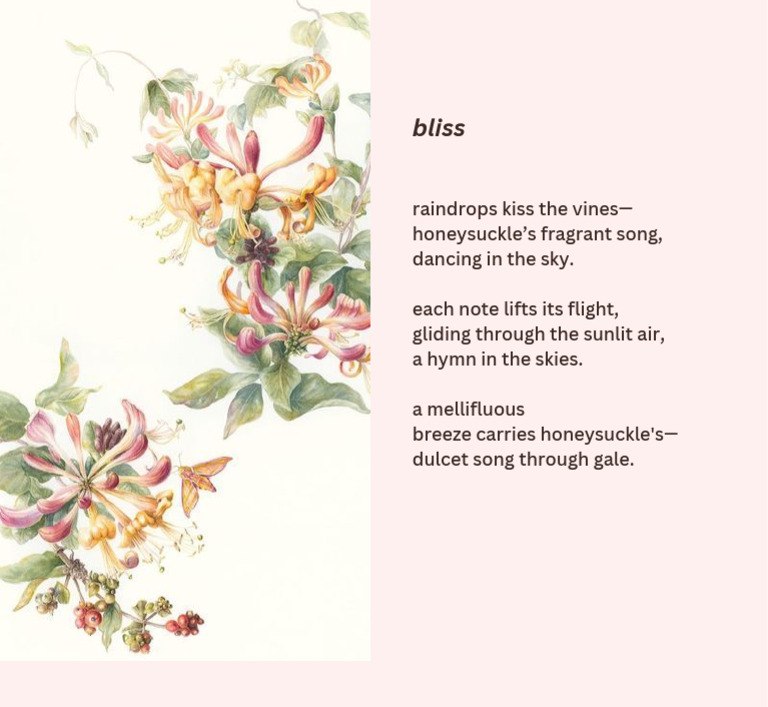 Bliss | PDF