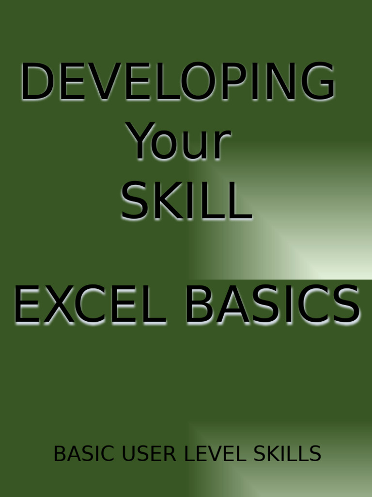 Excel Basics | PDF