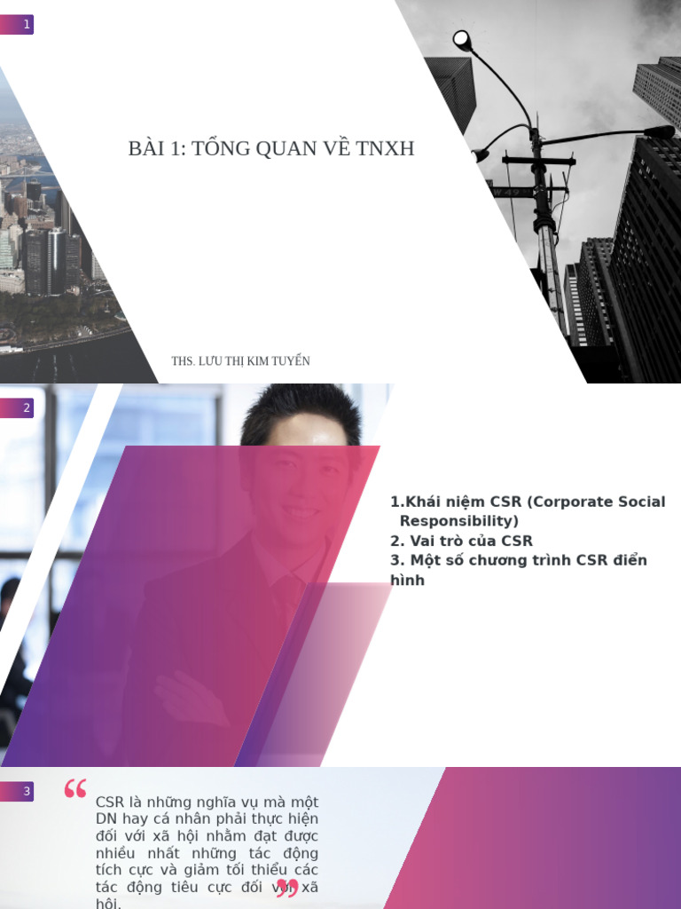 BAI 1 TONG QUAN VE TNXH (1) | PDF