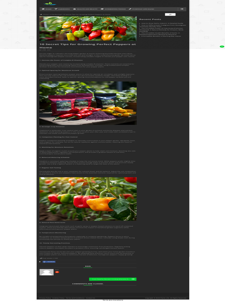 10 Secret Tips For Growing Perfect Peppers at Home - Plants Life | PDF ...