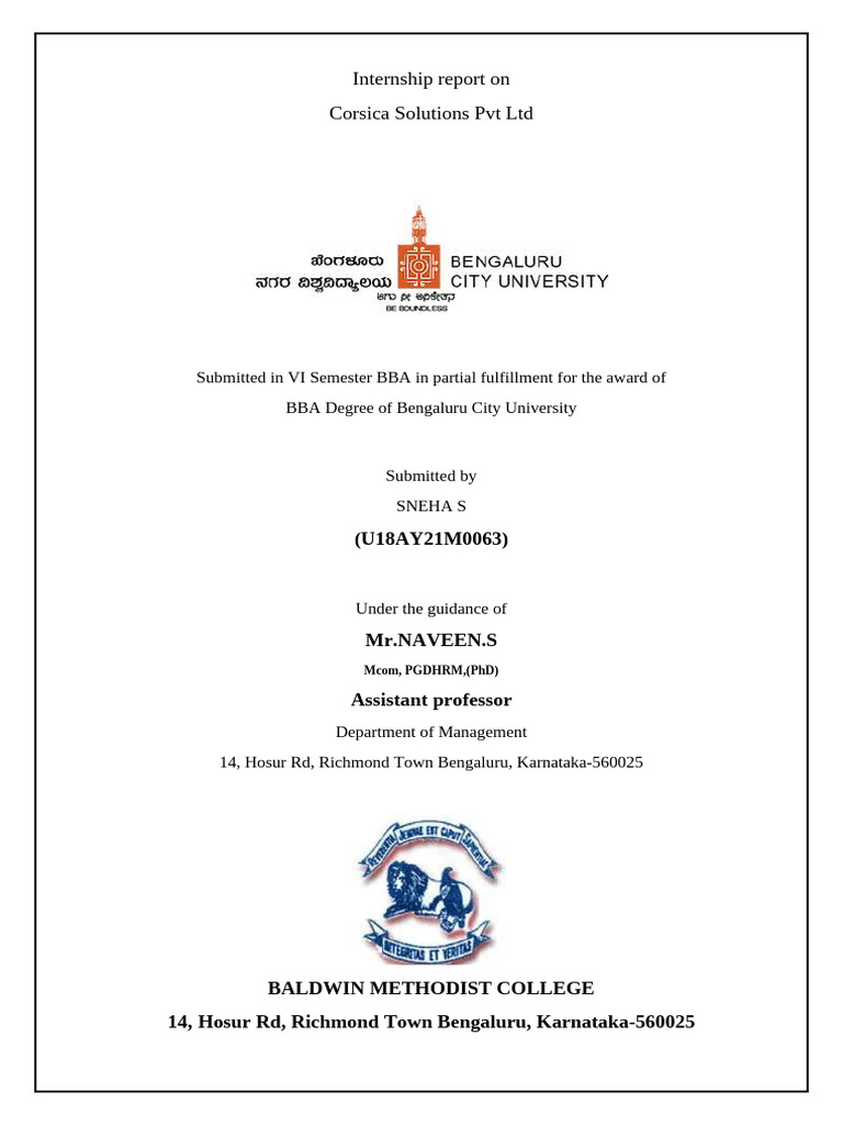 SNEHA REPORT | PDF | Computer Security | Security