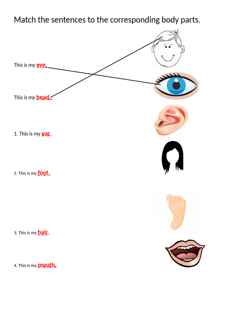 body parts worksheet | PDF