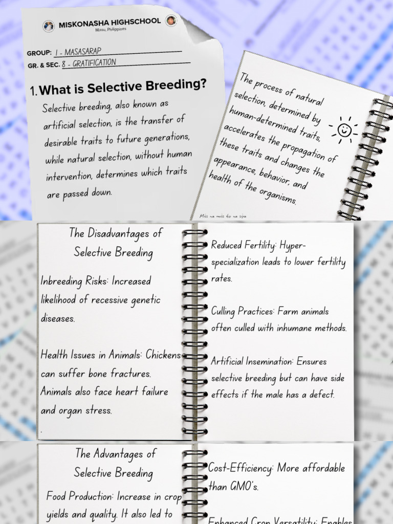 Advantages and Disadvantages of Selective Breeding | PDF | Selective ...