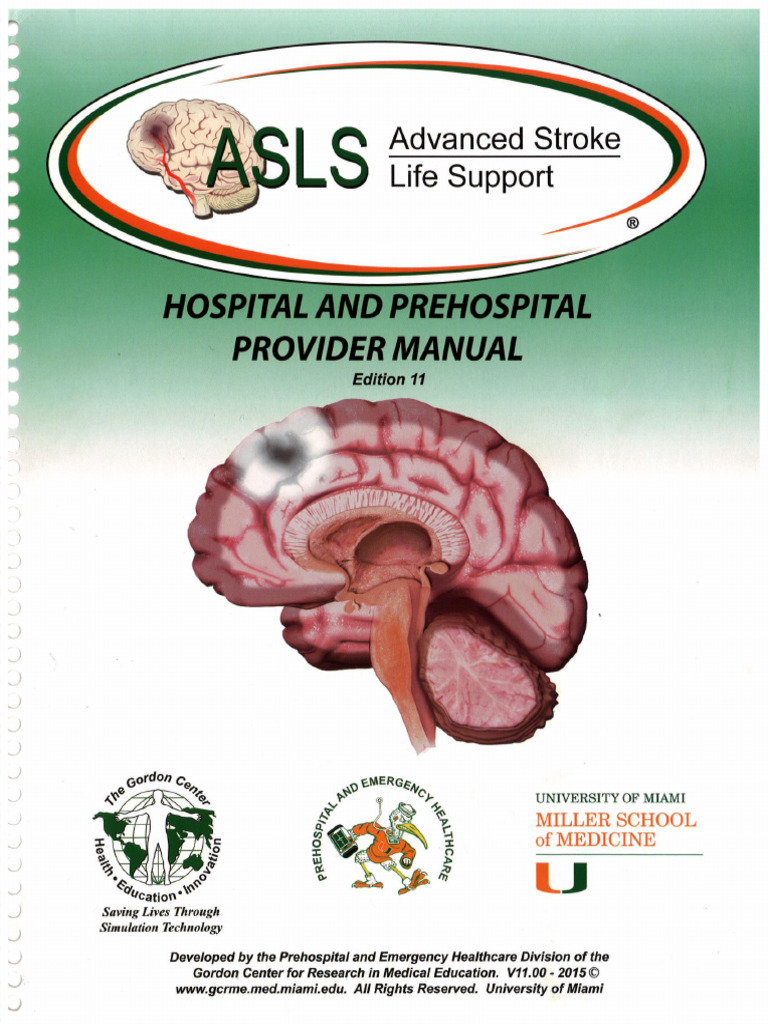Stroke Manual - 250210 - 185126 | PDF