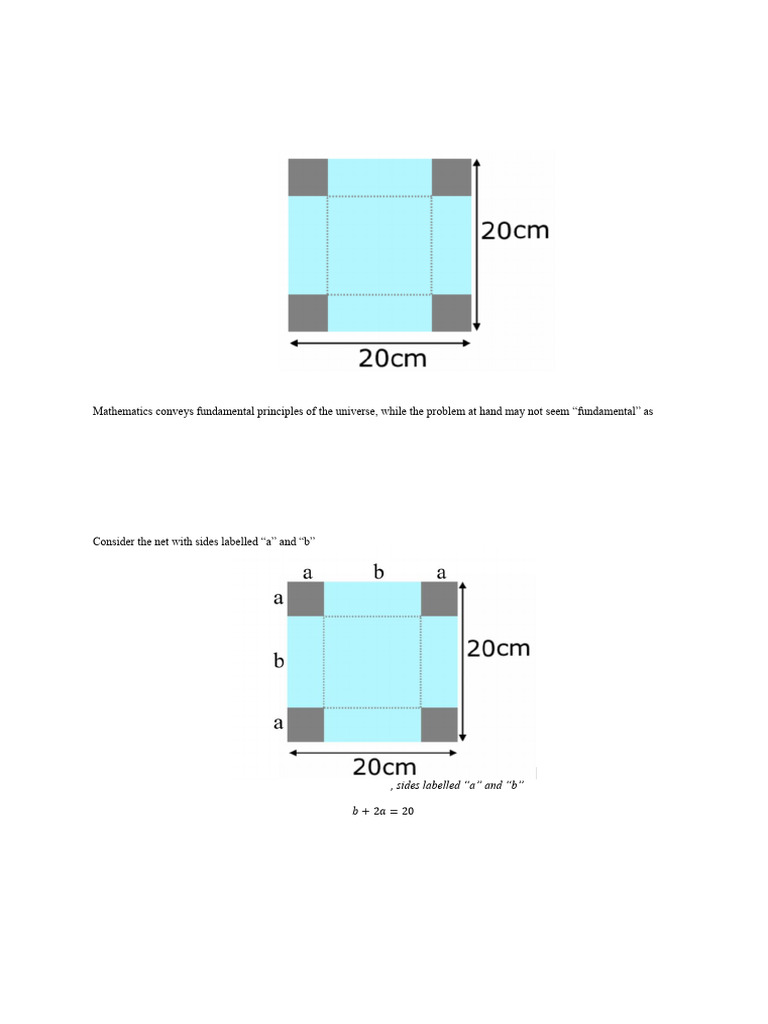 Practical Investigation:: Image of The 20cm-By-20cm Net | PDF ...