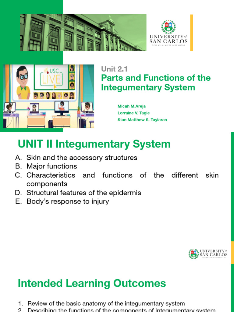 PHSC 1205 Unit 2.1 Integumentary System - PPTX 1 | PDF | Skin | Integumentary System