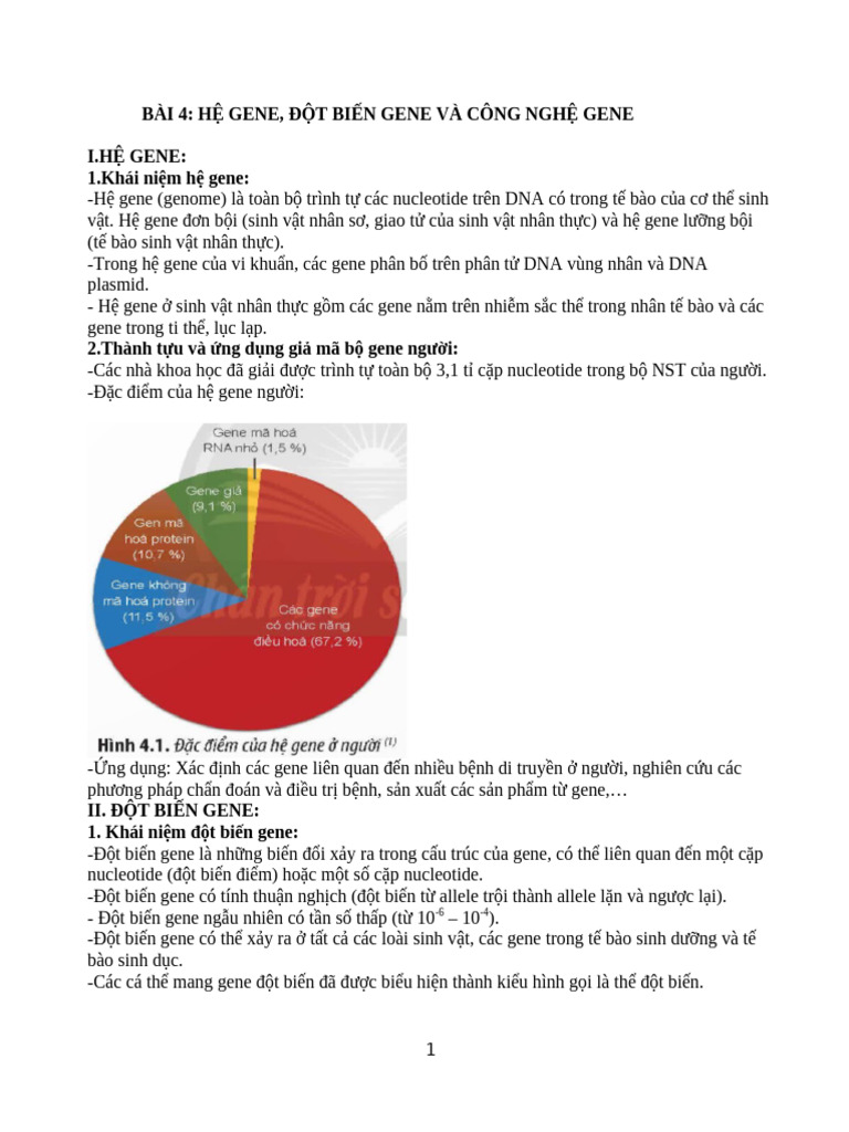 Bài 4-Sinh học 12 | PDF