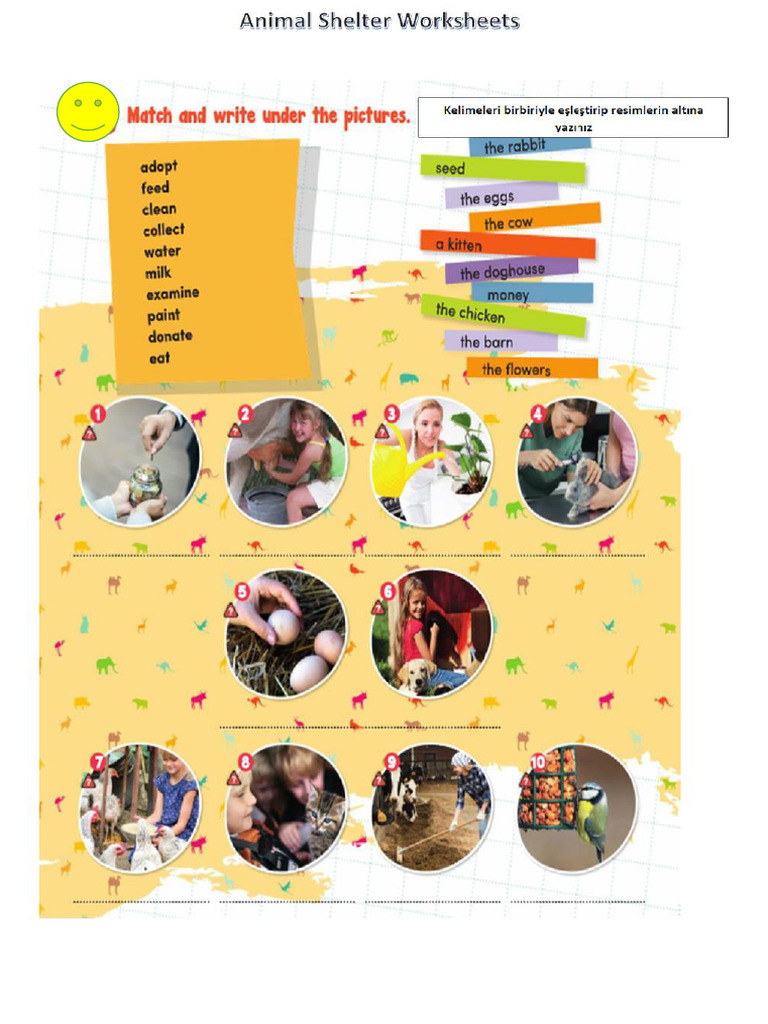 Animal Shelter Worksheets | PDF