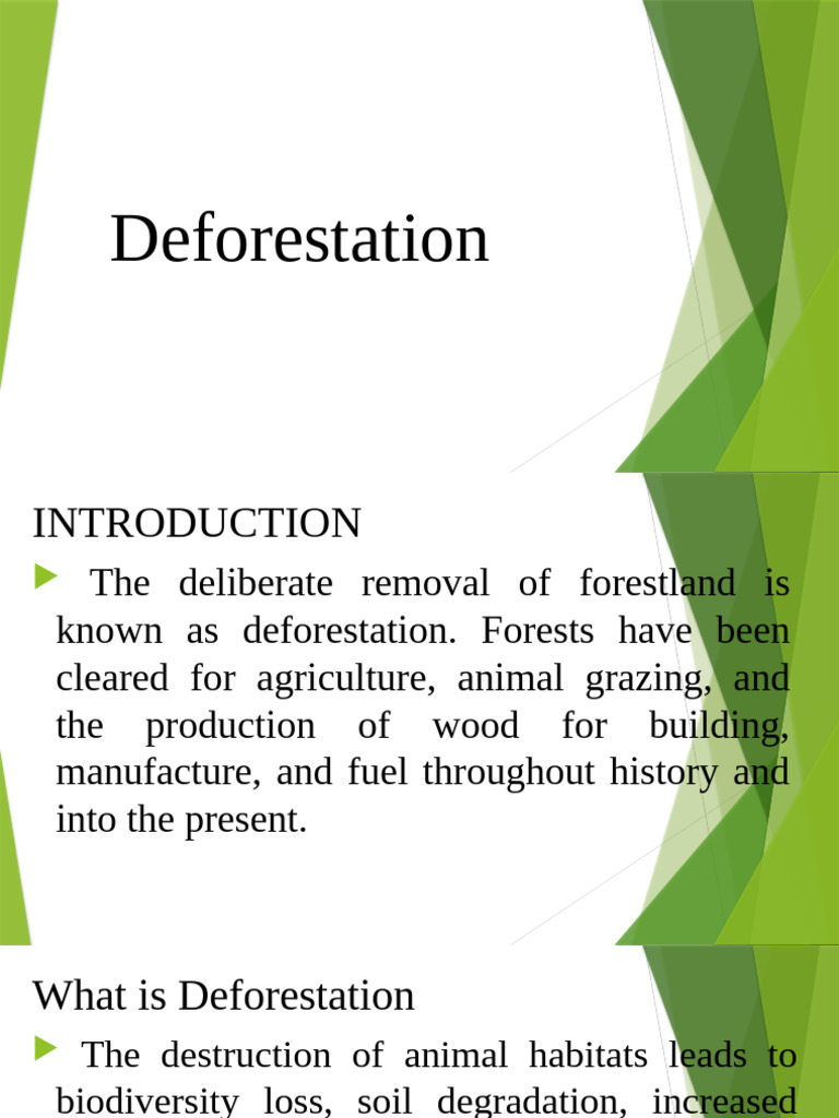 Group 1 Deforestation | PDF | Deforestation | Habitat Destruction