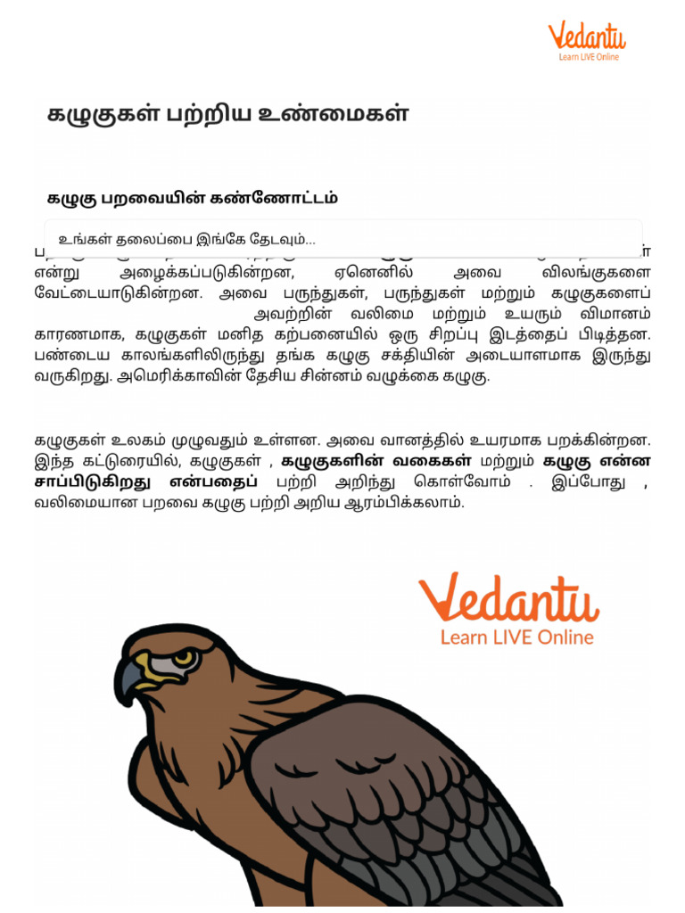 Facts About Eagles | PDF