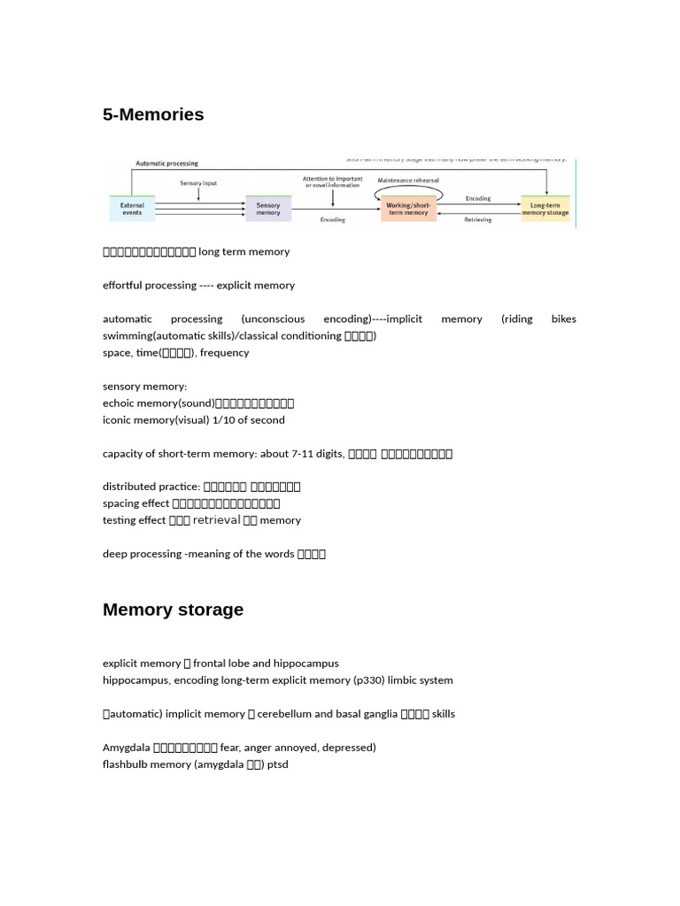 Memory Processes and Forgetting | PDF