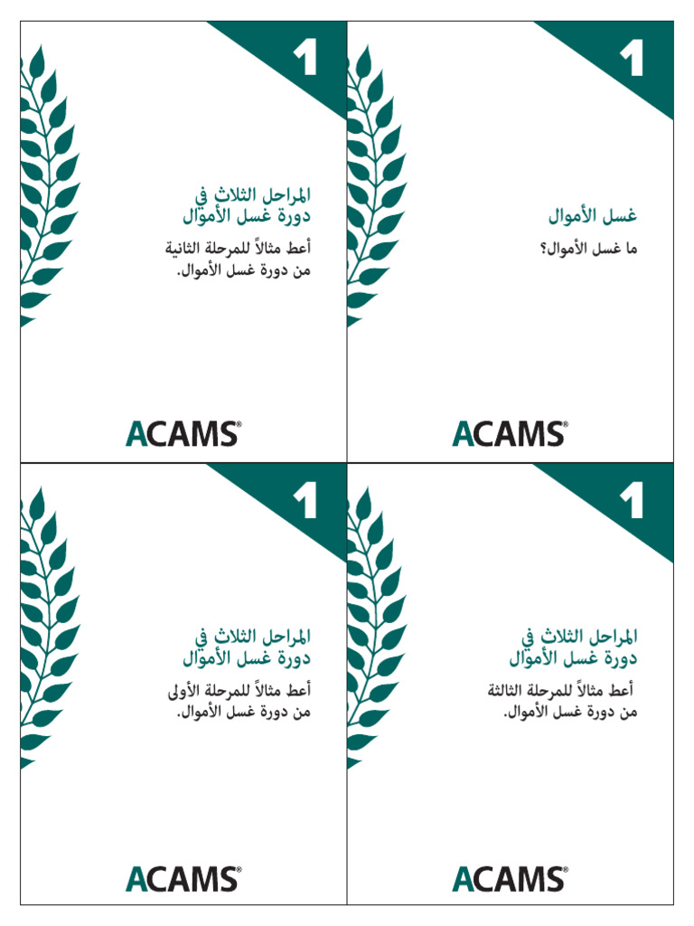 ACAMS CAMS6 Flashcards Arabic PDF | PDF