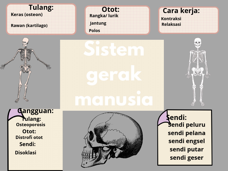 Brown Doodle Mind Map Brainstorming Graph PDF | PDF