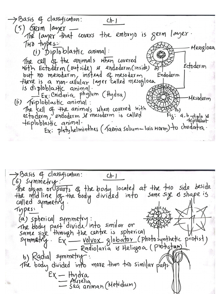 Bio-2 Ch-1 Lec-2 (Basis of Classification 5-8) | PDF