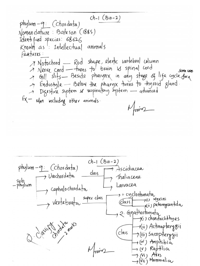 Bio-2 Ch-1 Chordata.. Urochordata | PDF