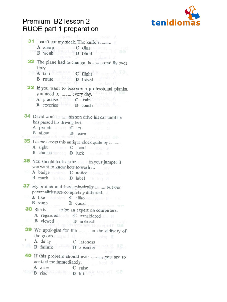 Premium B2 Homework Lesson 2 | PDF