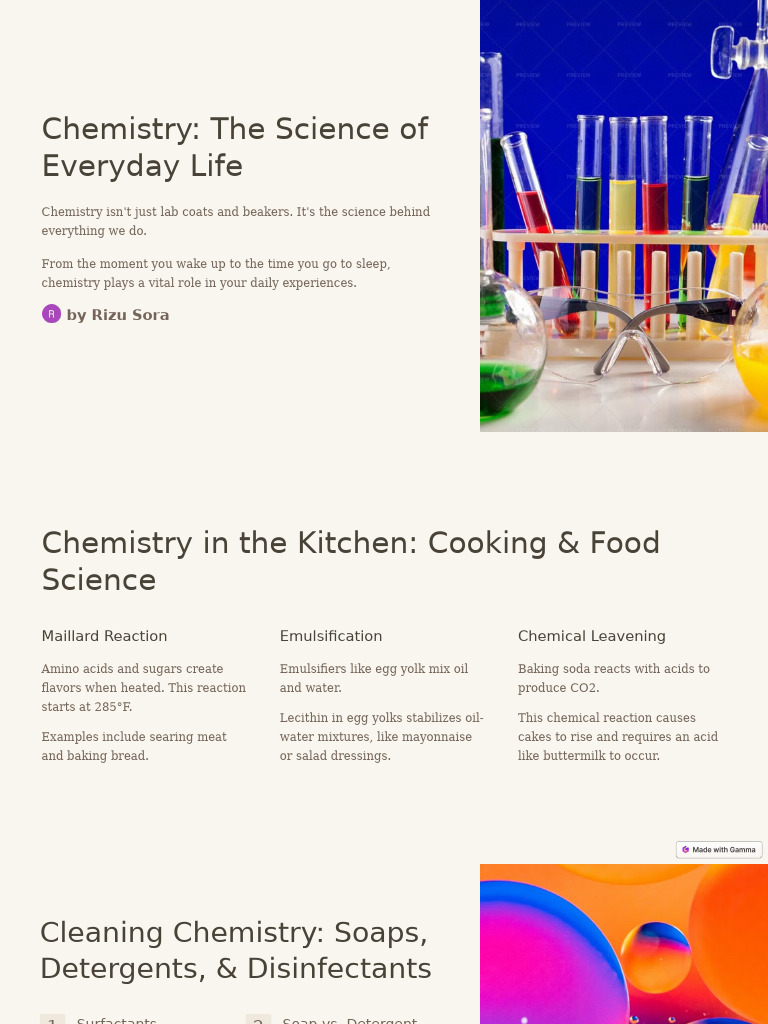 Everyday Chemistry in Daily Life | PDF | Detergent | Bacteria