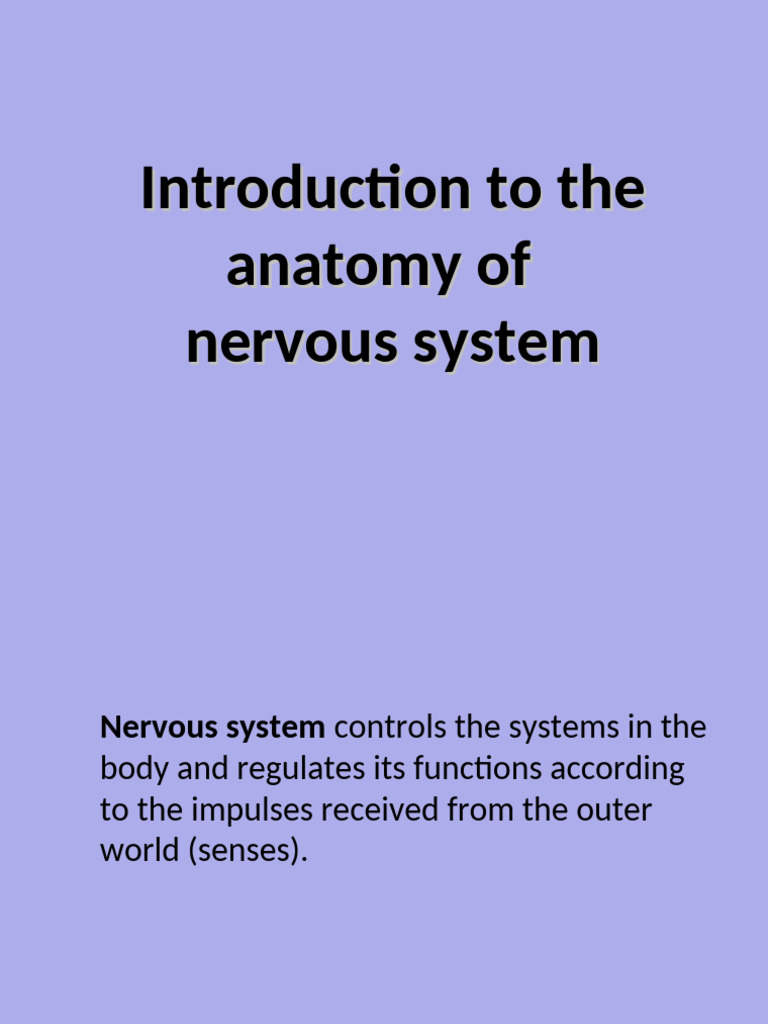 3-Intro To Nervous System | PDF | Nervous System | Motor Neuron