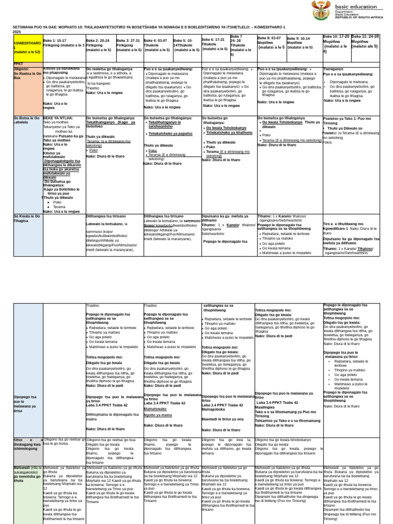 GRADE 10 2025 Setswana HL ATP | PDF