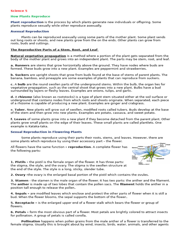 Science 5 How Plants Reproduce | PDF | Flowers | Pollination