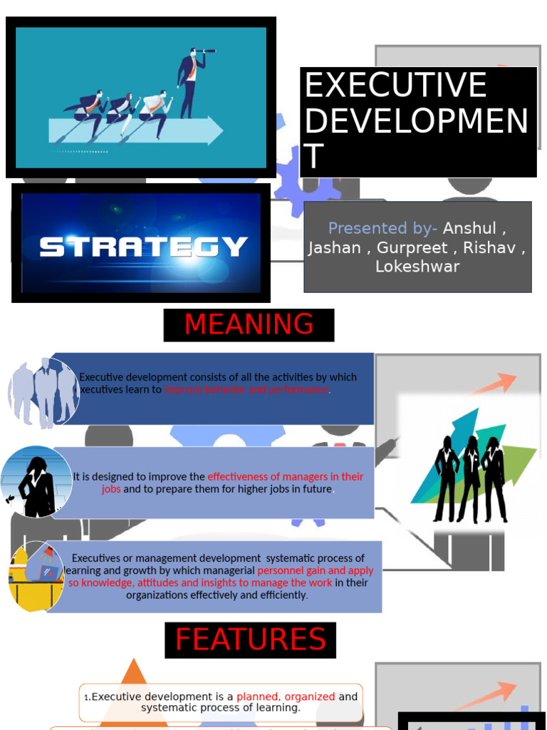 Executive Development 1 | PDF | Mentorship | Leadership