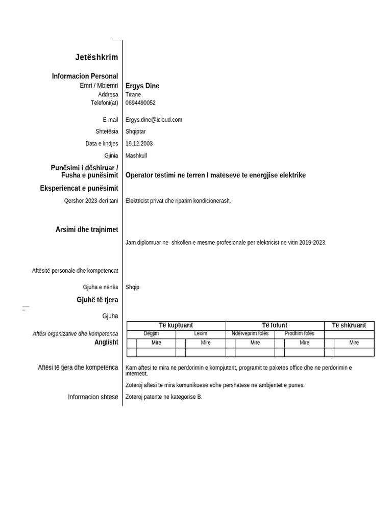 CV Ergys Dine 2 | PDF