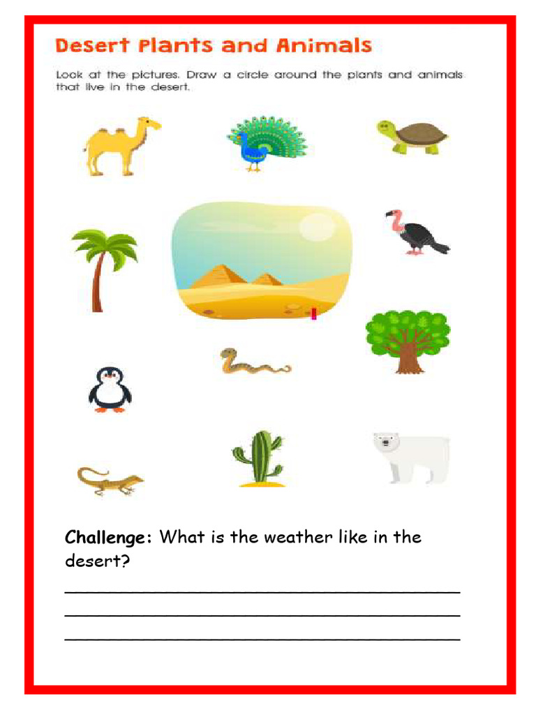 Desert Weather Conditions Explained | PDF