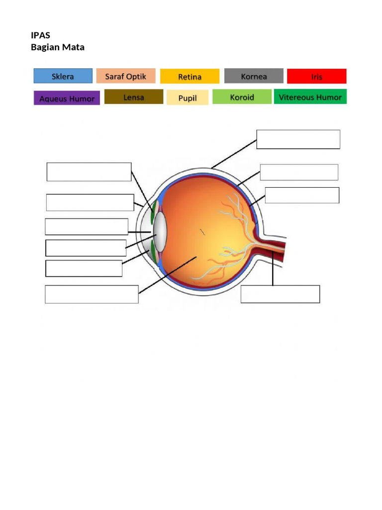 IPAS - Bagian Mata | PDF