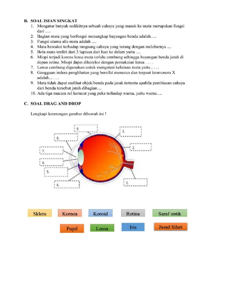 IPAS - Bagian Mata 2 | PDF