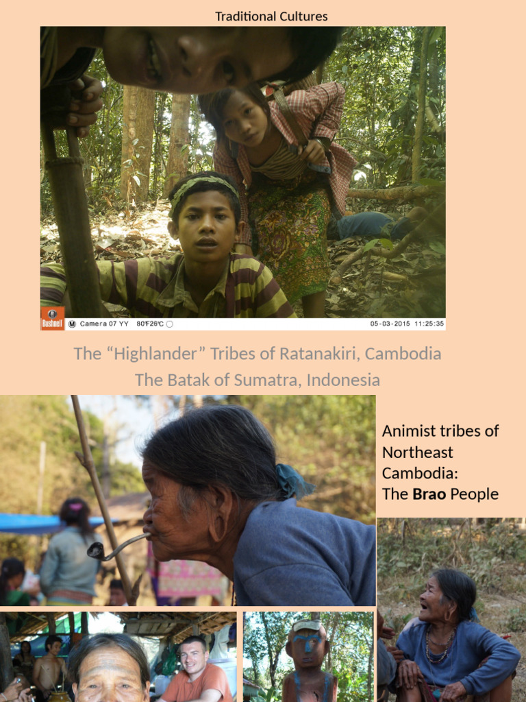 Traditional Cultures and Modern Challenges | PDF